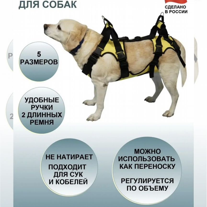 Полная поддержка, ходунки для крупных собак