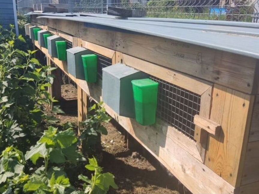 Домик для кролика