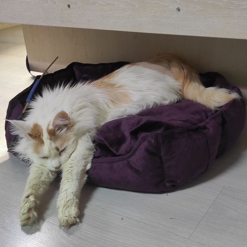 Лежанка для животных большая