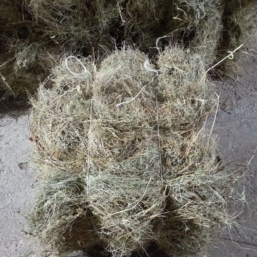 Сено полевое