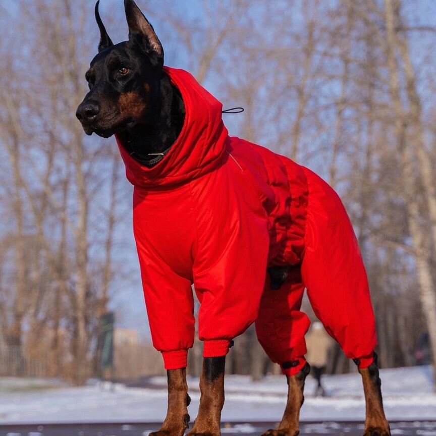 Комбинезон для собак средних пород (доберман и тд)