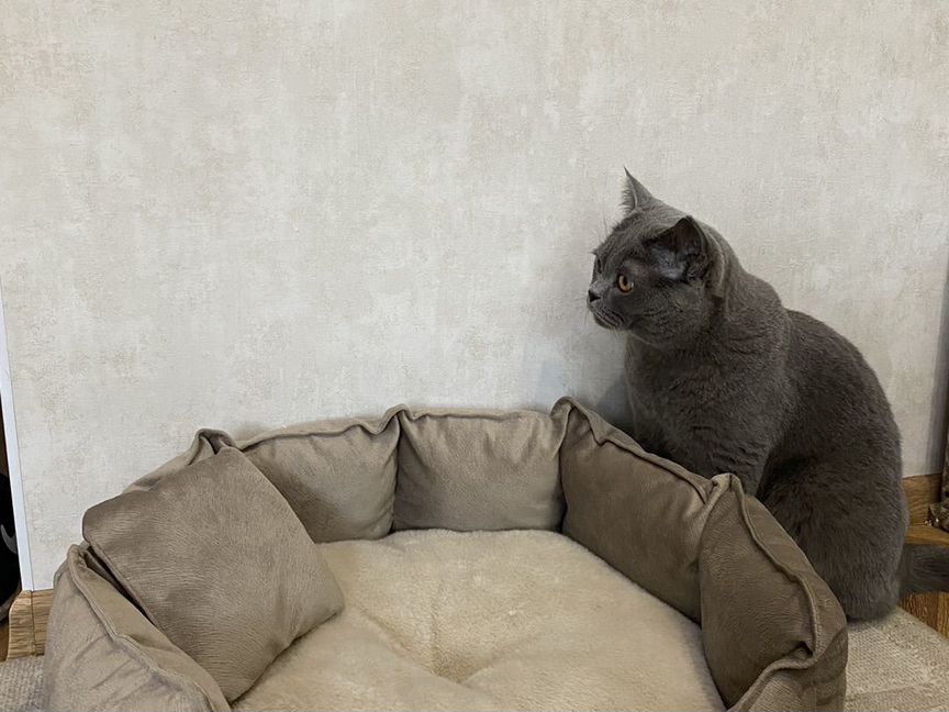 Лежанка для собак и кошек