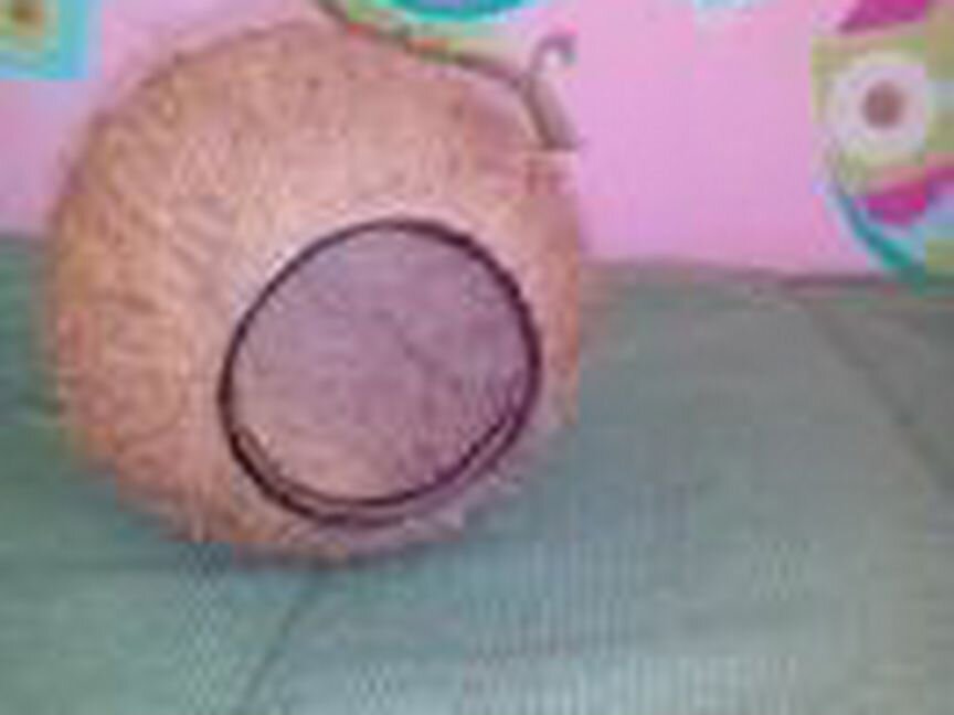 Домик и аксессуары для хомяка