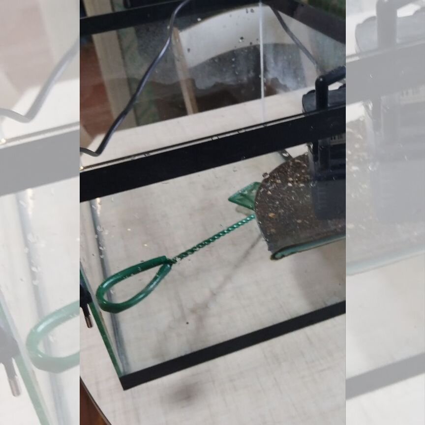 Аквариум для черепахи 20л