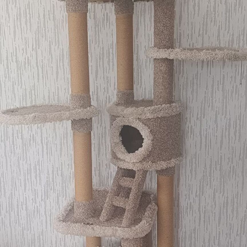 Когтеточка и домик