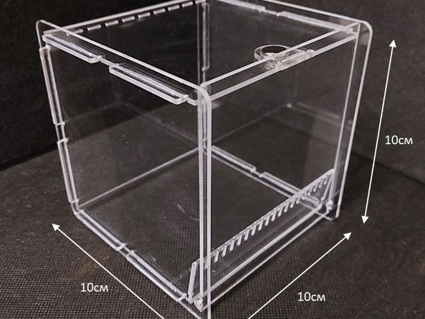 Паучатник акриловый