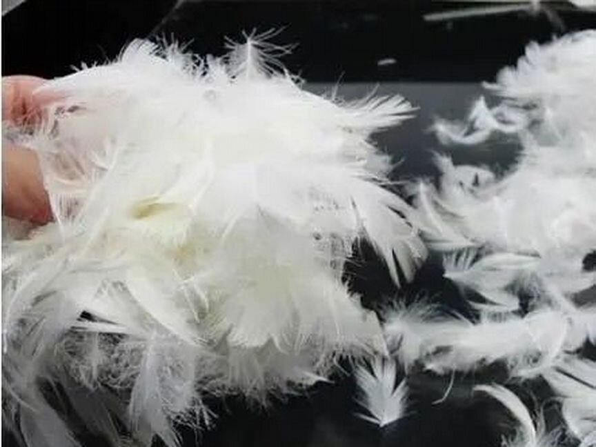 Пух перо гусиное