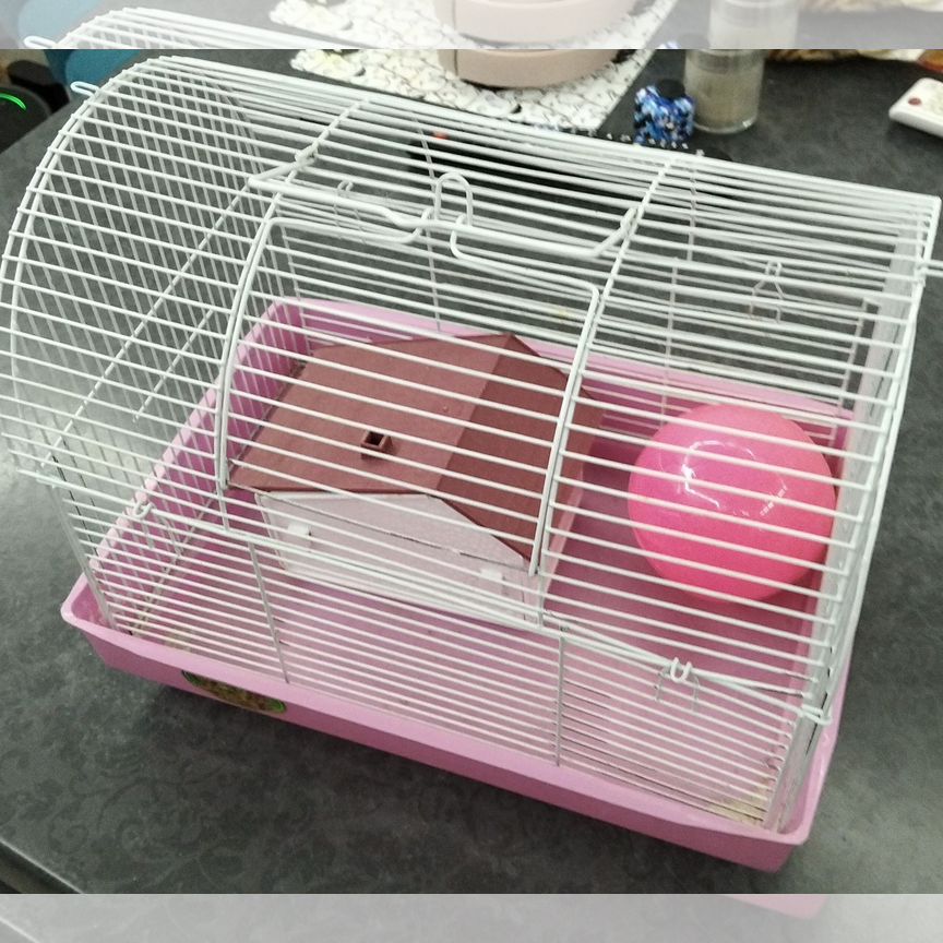 Клетка с домиком