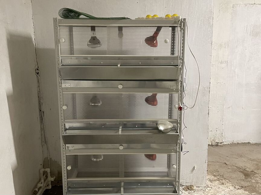 Брудеры для кур и перепелов