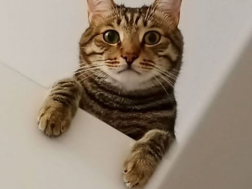 Леня, 5 лет