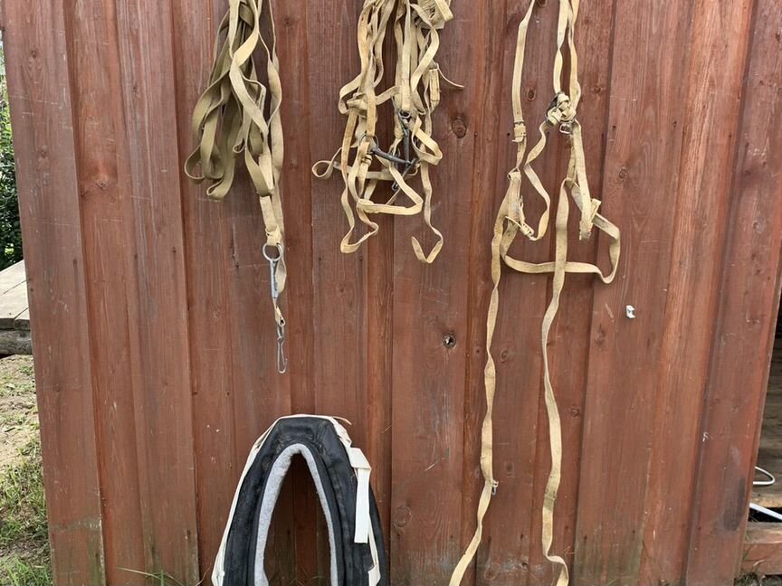 Конская упряжь