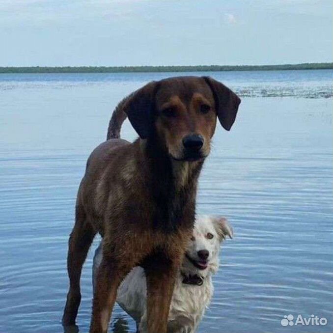 Круз