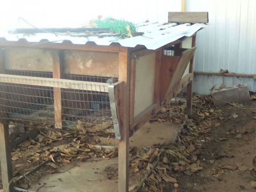 Клетки для кроликов