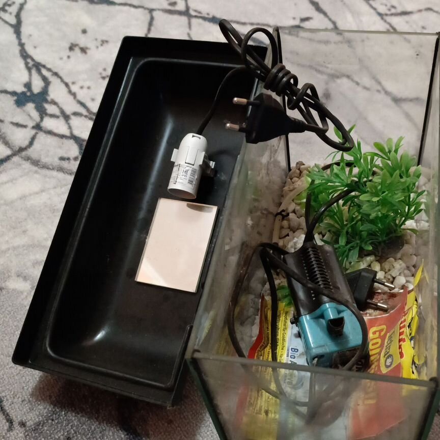 Аквариумные рыбки