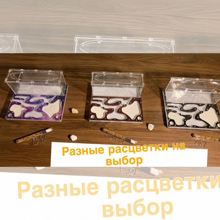 Муравьиная ферма с аксессуарами