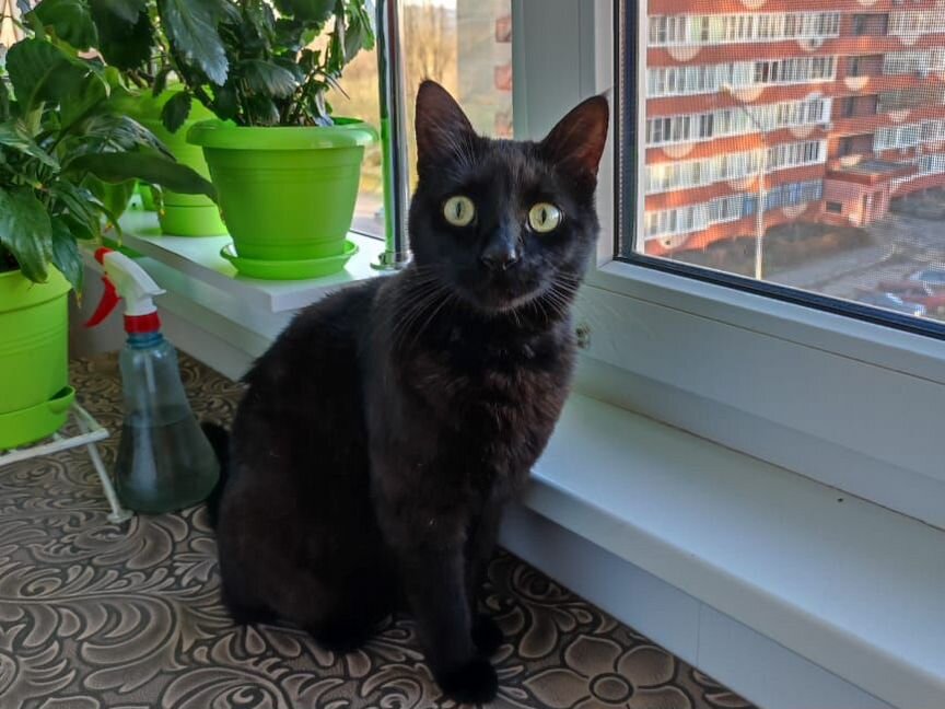 От сердца к сердцу