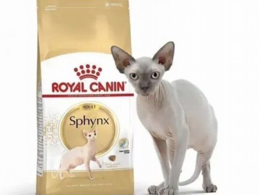 Корм роял канин 7 кг для сфинксов