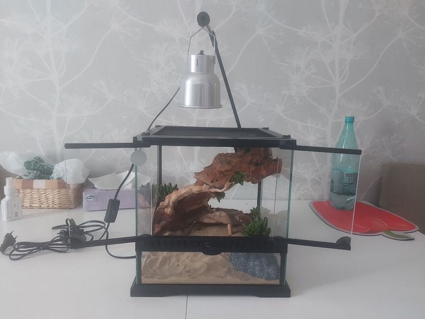 Террариум пустынный 30-30-30