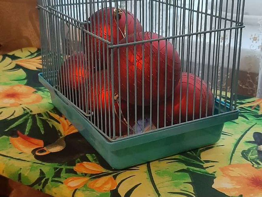 Клетка для хомяка