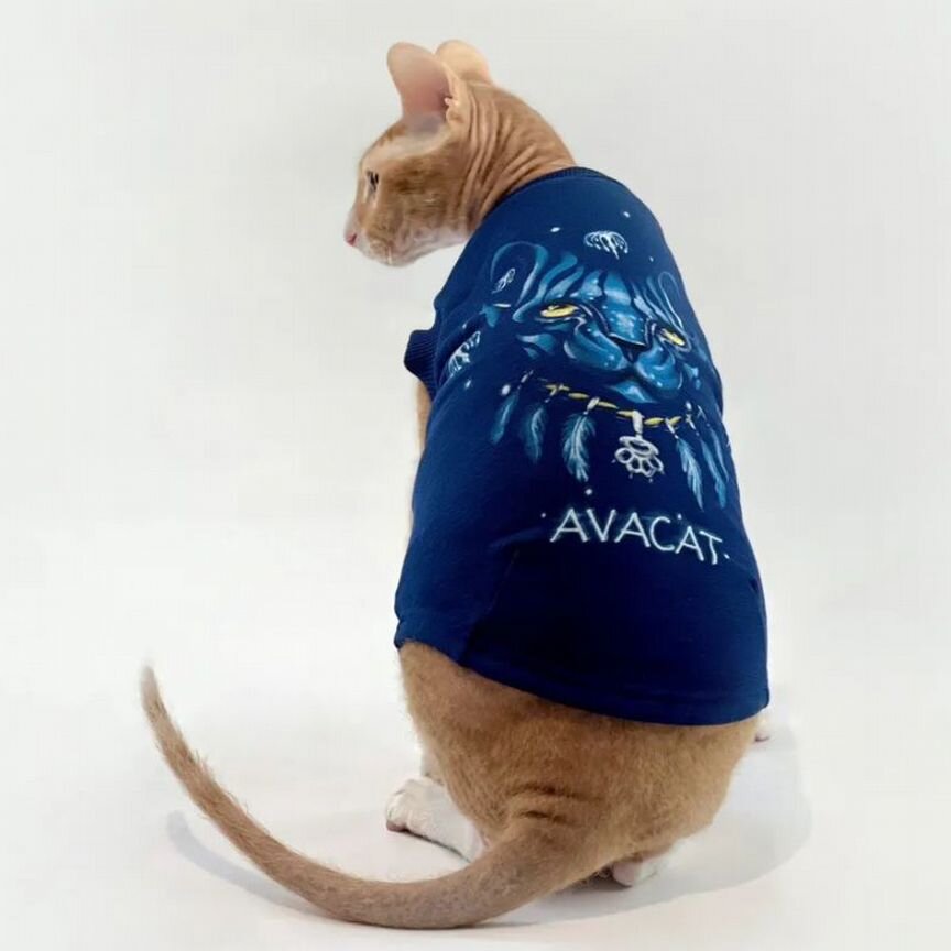 Кофточка для кошек