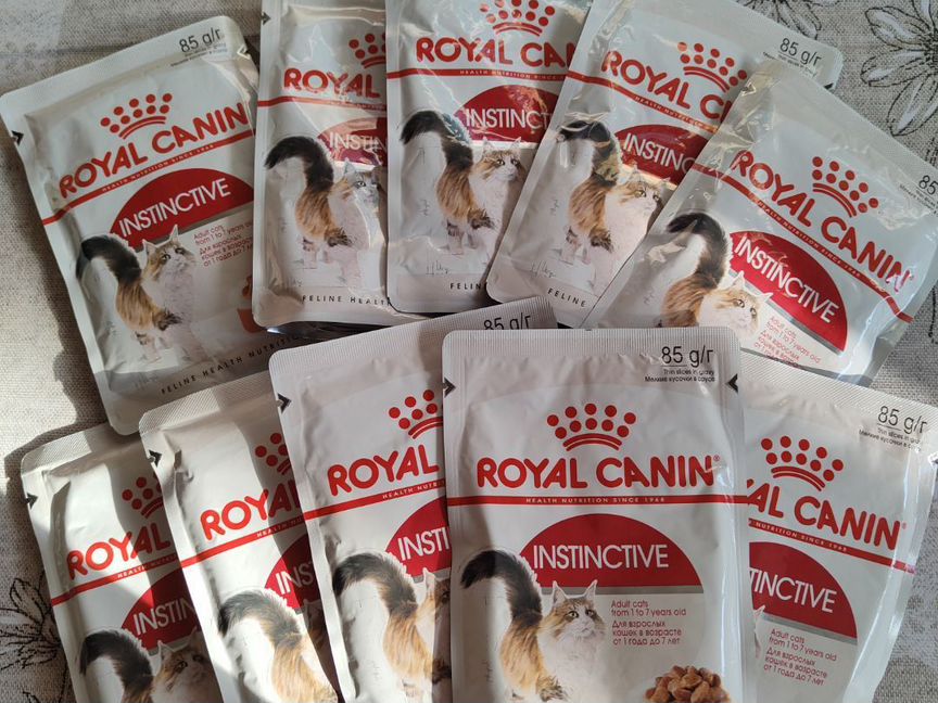 Влажный корм для кошек royal canin