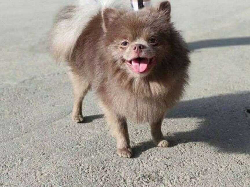 Вязка