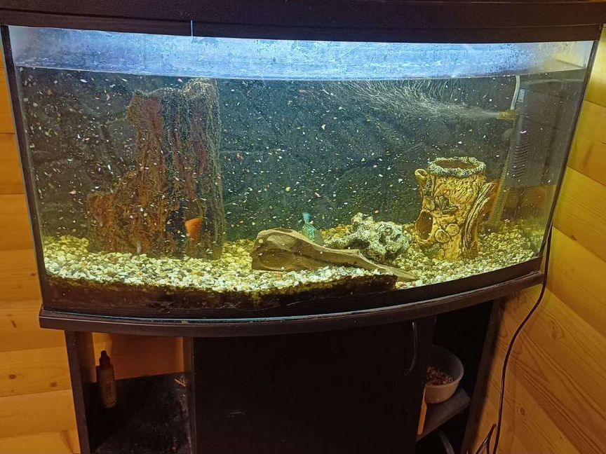 Аквариум с тумбой и рыбками