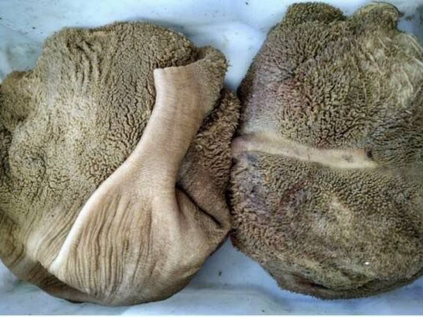Желудок говяжий (мытый)