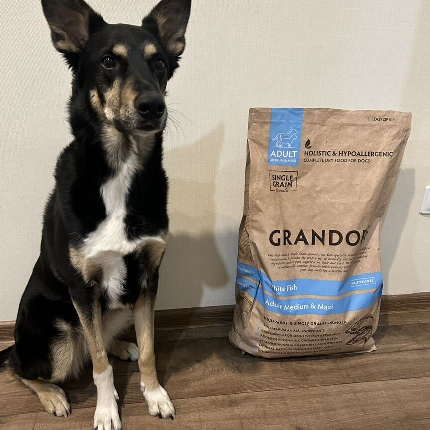 Корм для собак grandorf fish