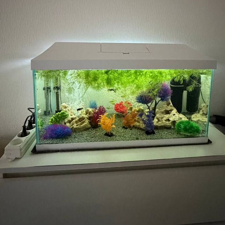 Aquael leddy SET plus 60 54л