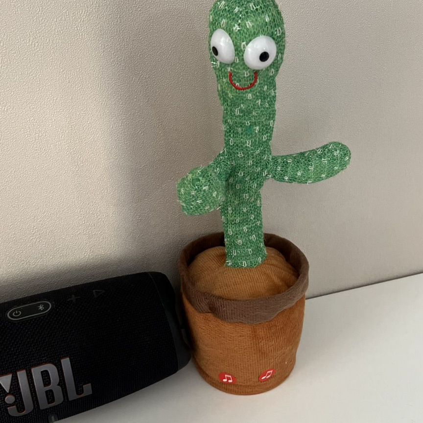 Катус говорящий новый