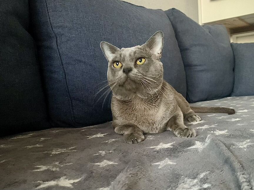 Бурманская вязка