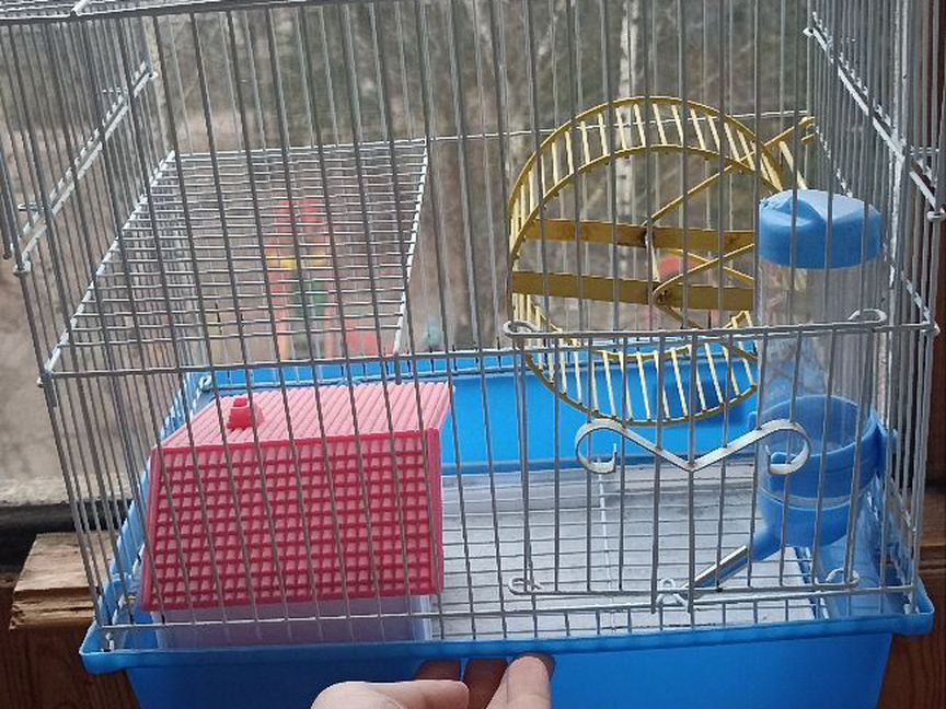 Клетка для джунгарика