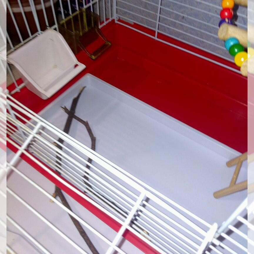 Клетка для попугая большая