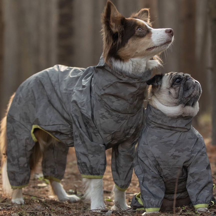 Дождевик доя собак