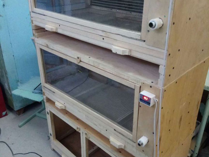 Брудер для цыплят