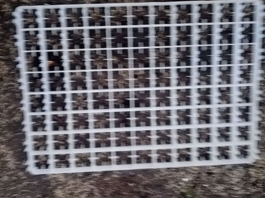 Лотки для инкубатора