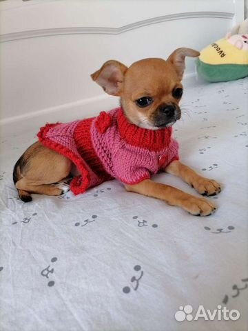 Рыжая принцесса - малышка Пэнни