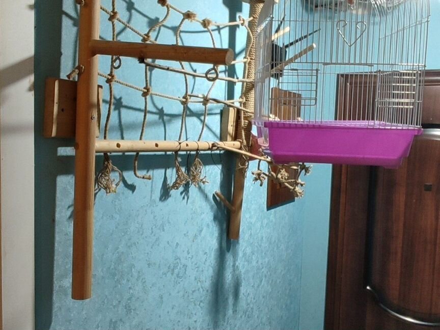 Присада для попугая