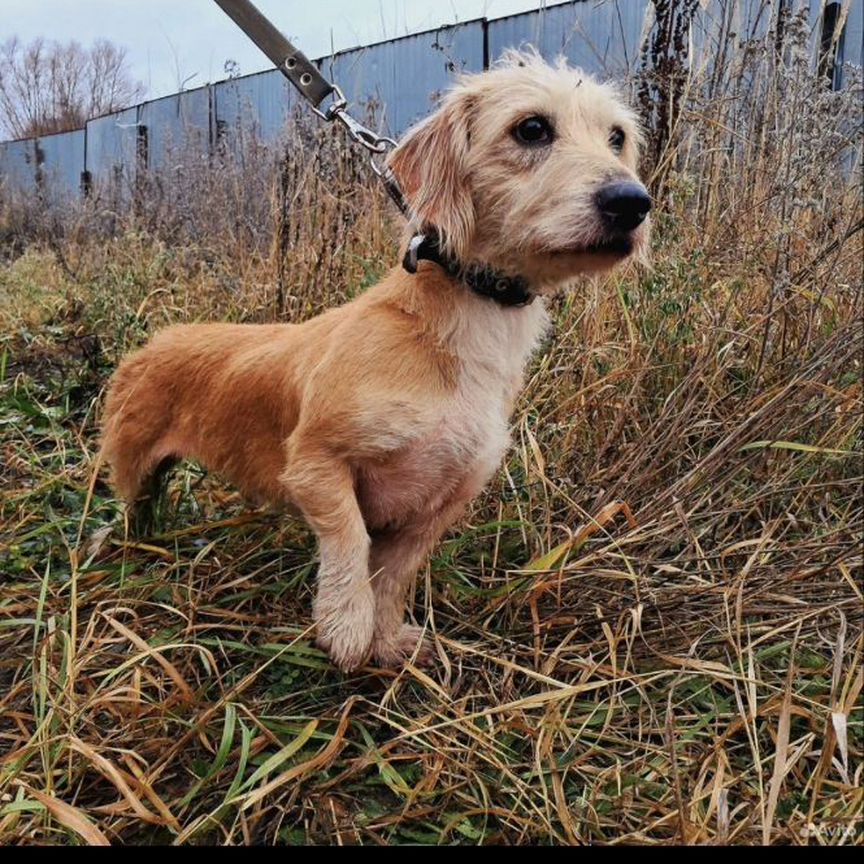 Девочка в кваритру