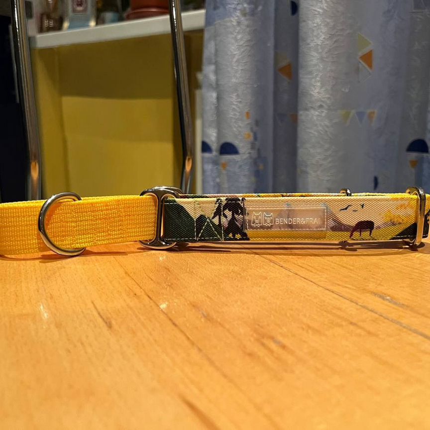 Ошейник для собак