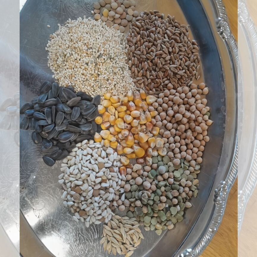 Комбикорм зерносмесь