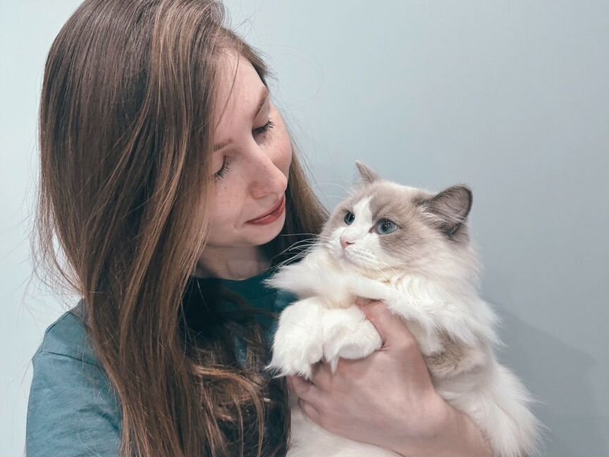 Котоняня посижу с вашим котиком