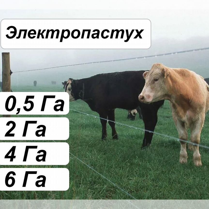 Электропастух для крс на 0,5 Га, 2 Га, 4 Га, 6 Га