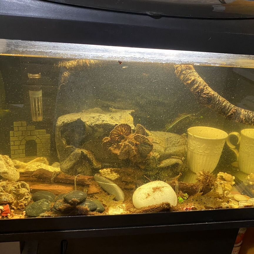 Аквариум 50л с тумбой