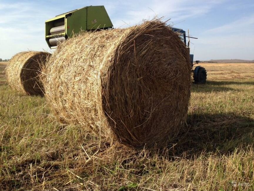 Сено в рулонах