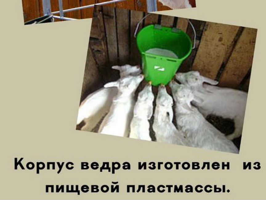 Ведро для выпаивания для тетя