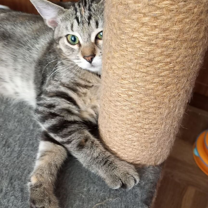 Катюшка ждёт и надеется