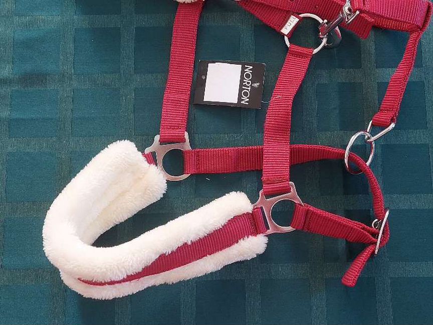 Недоуздок с чёмбуром