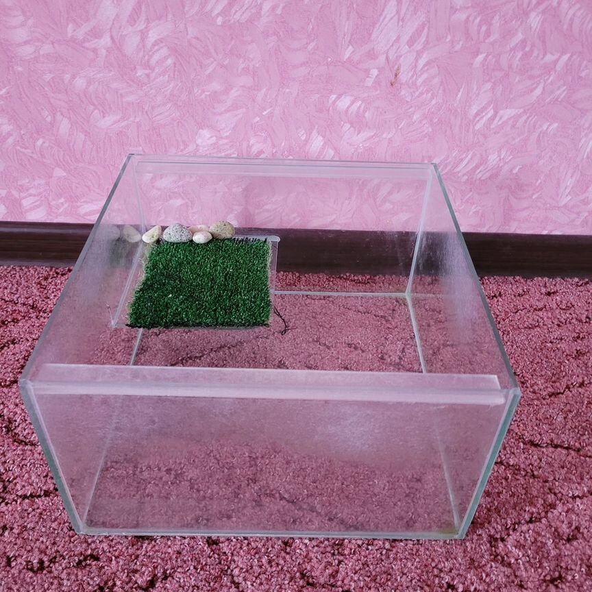 Террариум для красноухой черепахи